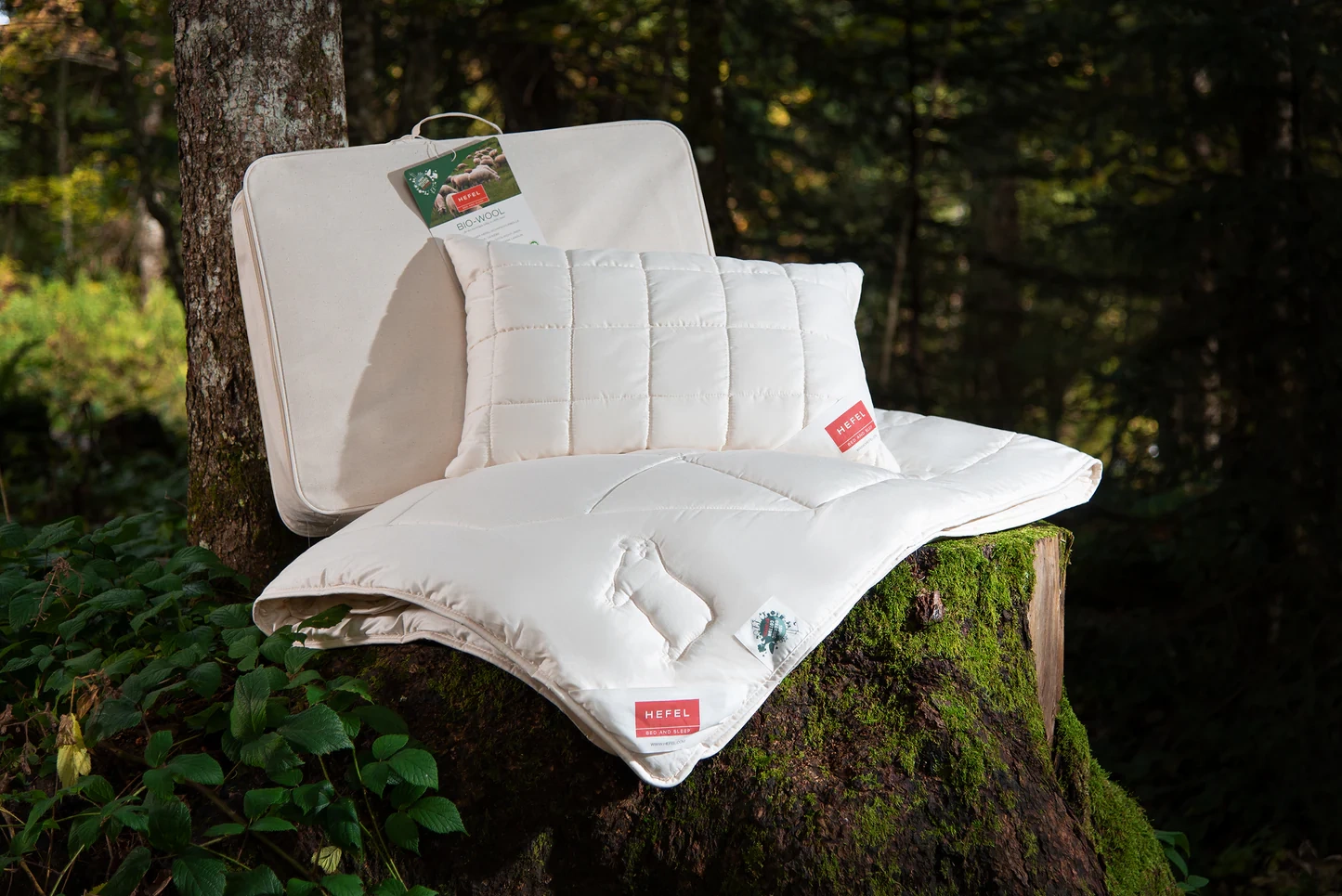 Poduszka Hefel Bio Wool (100% sęki wełniane, 100% tkanina bawełniana ...